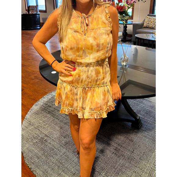 Adrienne | Dresses | New Adrienne Sunsets Champagne Mini Dress In ...
